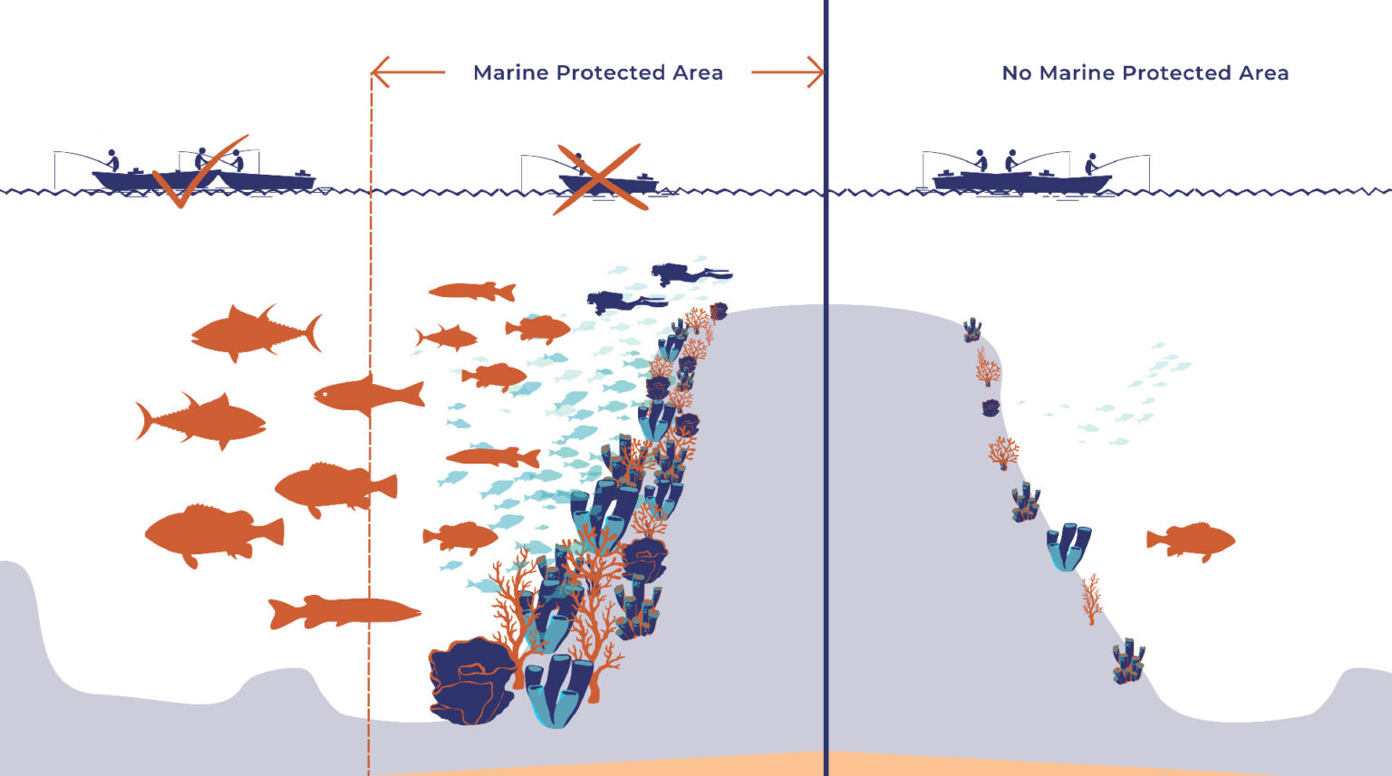 What is a Marine Protected Area? | Turneffe Atoll Marine Reserve