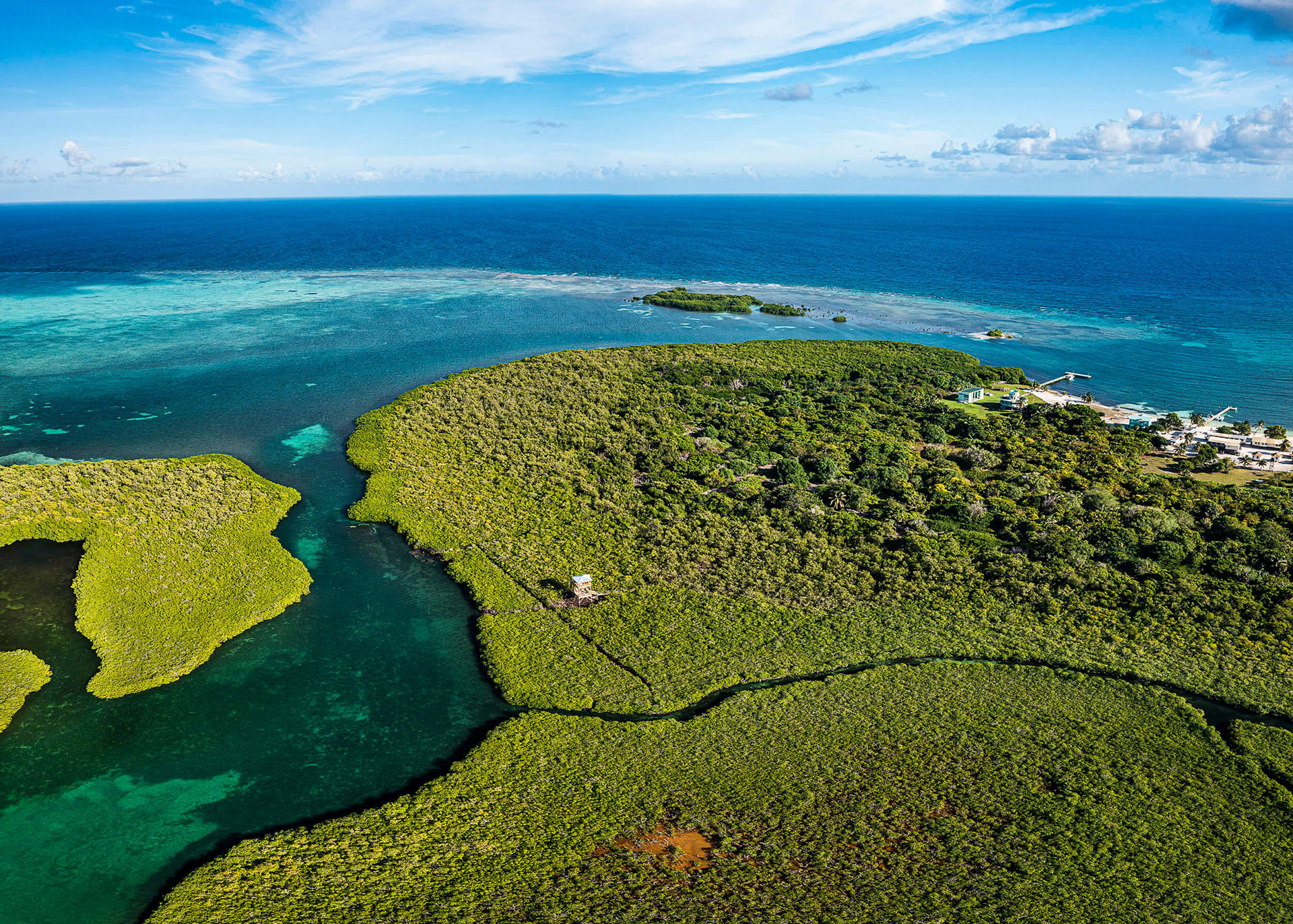 A Captivating Marine Wilderness | Turneffe Atoll Marine Reserve