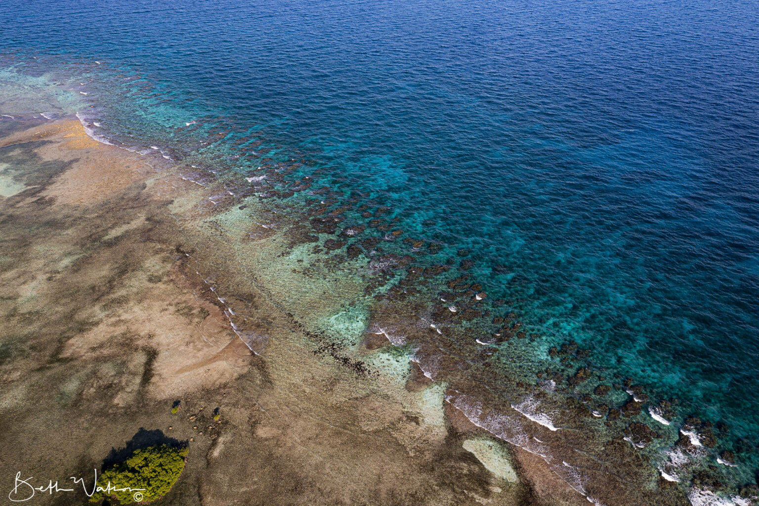 Turneffe Atoll Ecosystems | Turneffe Atoll Marine Reserve