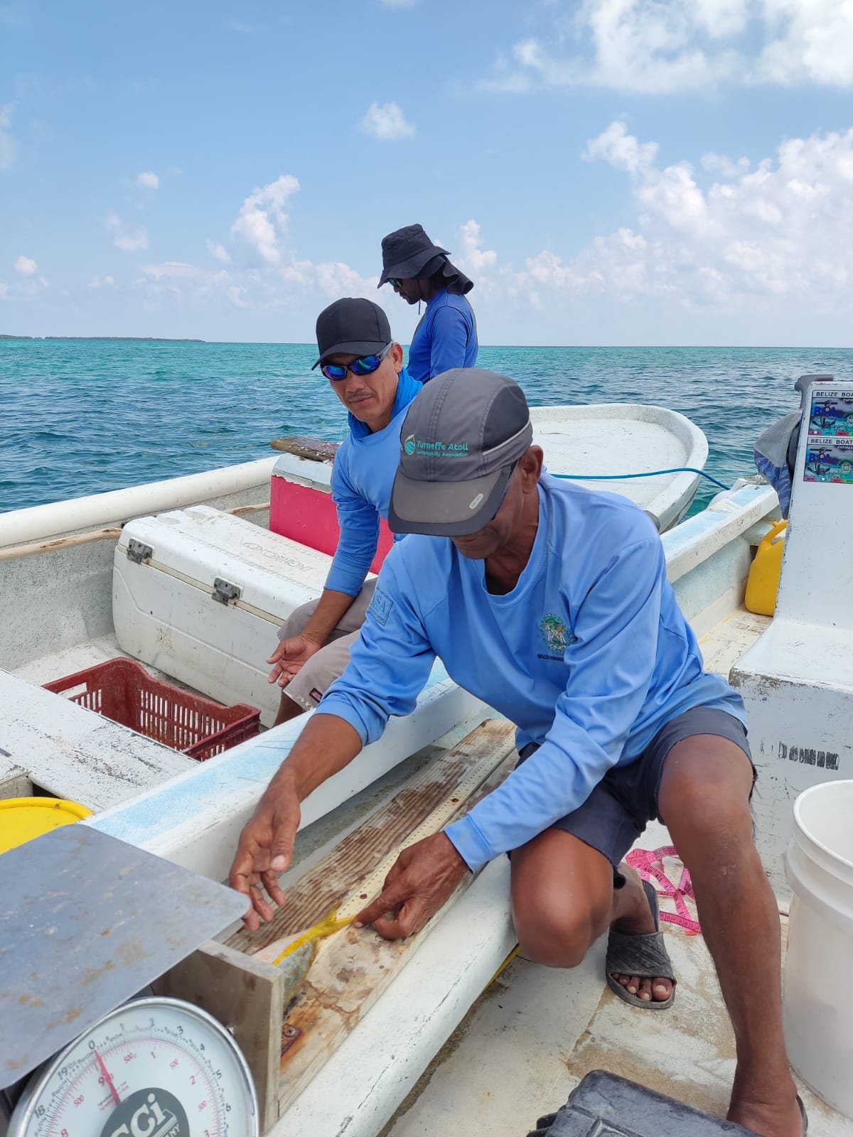 Adaptive Management | Turneffe Atoll Marine Reserve
